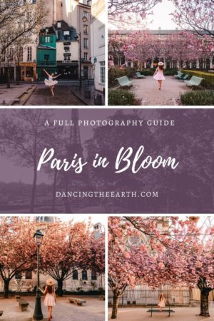Paris in Bloom - a full photography guide for the best blooming spots