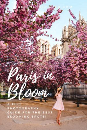 Paris in Bloom - a full photography guide for the best blooming spots