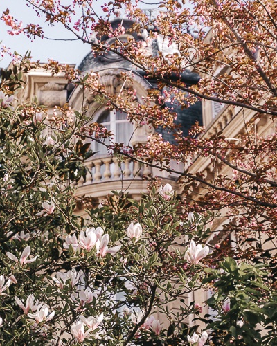 Paris in Bloom - a full photography guide for the best blooming spots