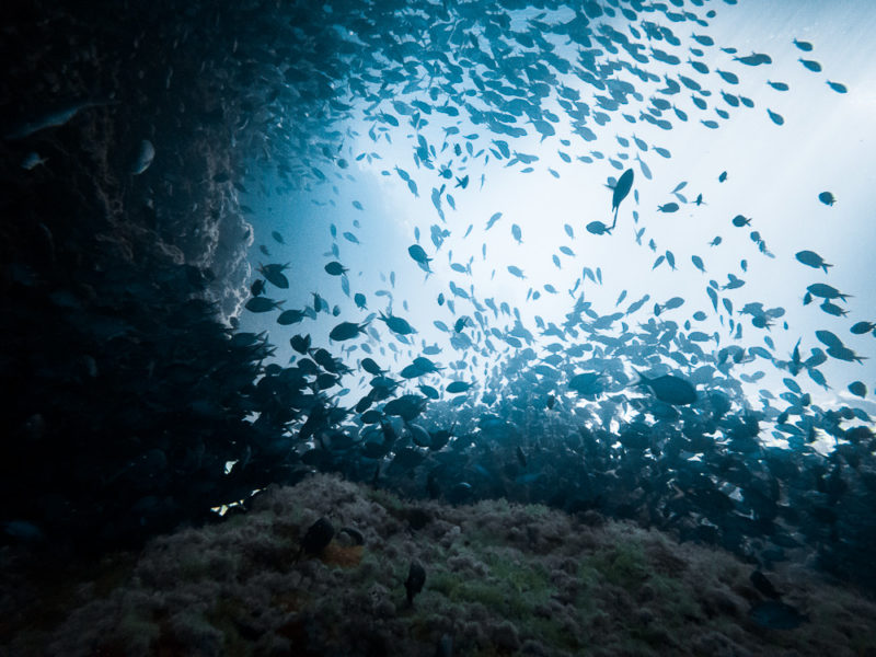 15 Photography Spots You Cannot Miss In the North Island, New Zealand